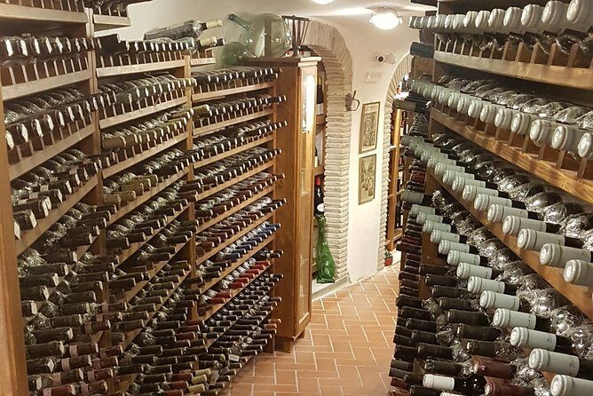 Roman Countryside: Wine and Food Tasting, Semi-Private Day Tour - Who Is This Tour Best For?