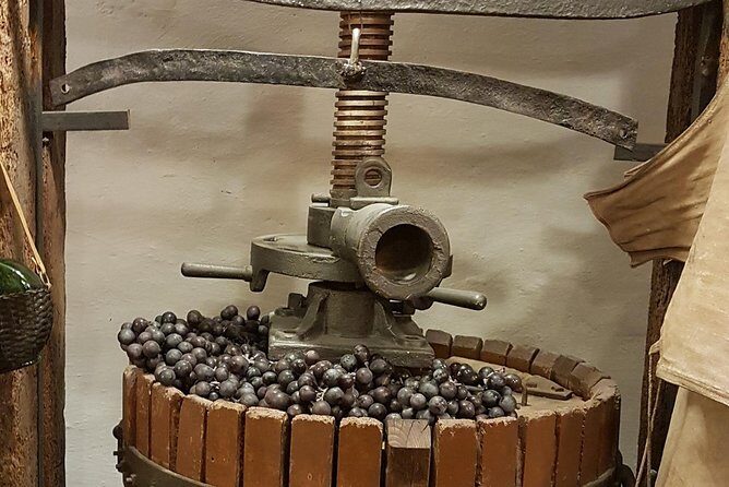 Roman Countryside: Wine and Food Tasting, Semi-Private Day Tour - Final Thoughts