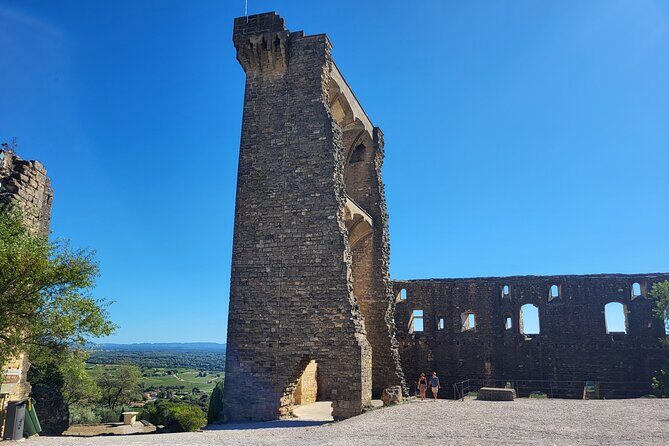 Roman Heritage & Wine Legacy - Key Points