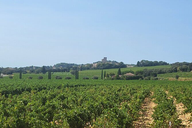 Roman Heritage & Wine Legacy - FAQ