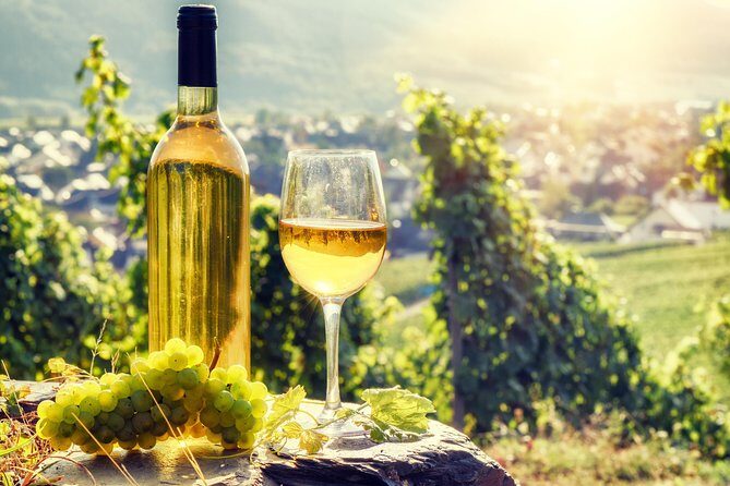 Romanian Wine Tasting - An In-Depth Look at the Romanian Wine Tasting Tour