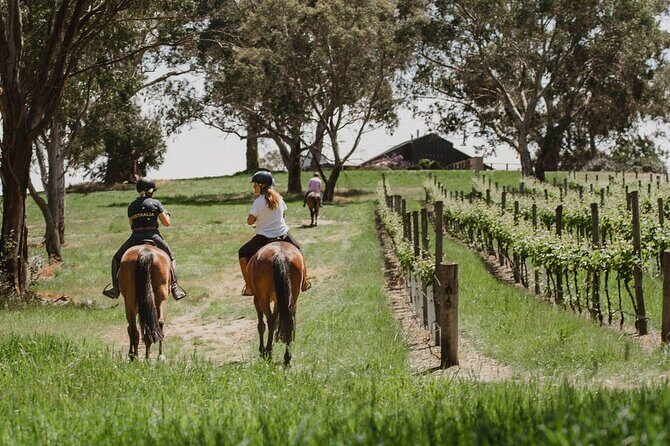 Romantic Horse Trail Ride with Wine and Food in Adelaide Hills - Key Points