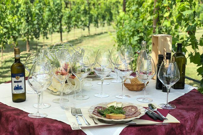 Romantic Lunch in the Vine Rows in Tuscany - What Travelers Should Know