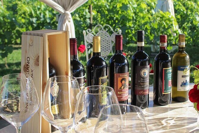 Romantic Lunch in the Vine Rows in Tuscany - Who Should Book This Experience?