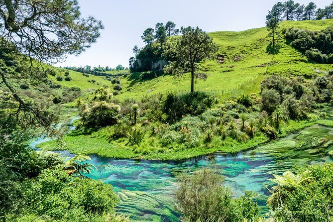 Romantic Private tour in Hamilton - Key Points