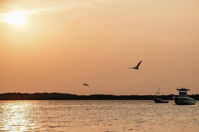 Romantic sunset tour in Río Lagartos, with food - What Travelers Say