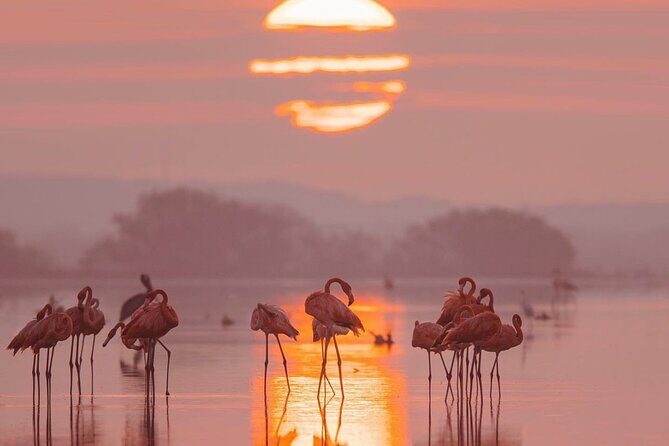 Romantic sunset tour in Río Lagartos, with food - FAQ