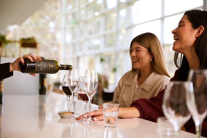 Romantic Vineyard Horse Riding and Picnic - Is It Worth the Price?