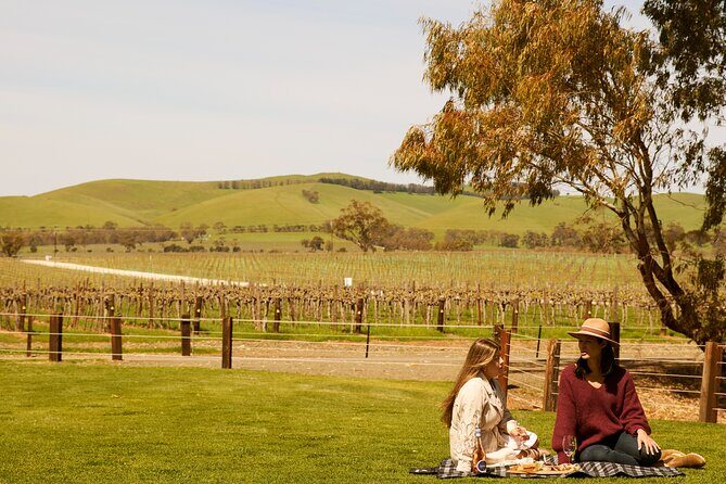 Romantic Vineyard Horse Riding and Picnic - Authentic Insights from Reviewers