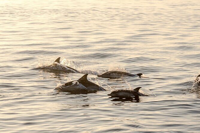 Romatic sea experience (Sunset + overnight + Breakfast) - Final Takeaway