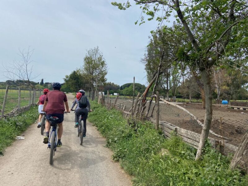 Rome: Appian Way Guided Tour on E-Bike with italian Aperitif - Who Will Love This Tour?