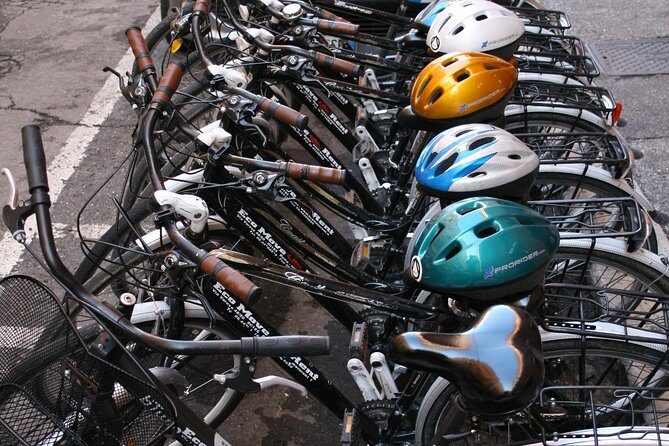 Rome City Bike & E-Bike Daily Rental - Who Should Consider This?