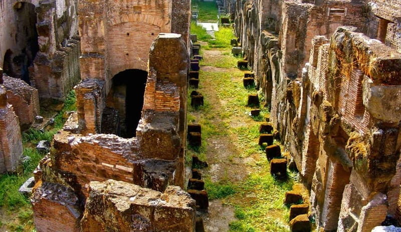 Rome: Colosseum Gladiator's Arena and Roman Forum Tour - The Sum Up
