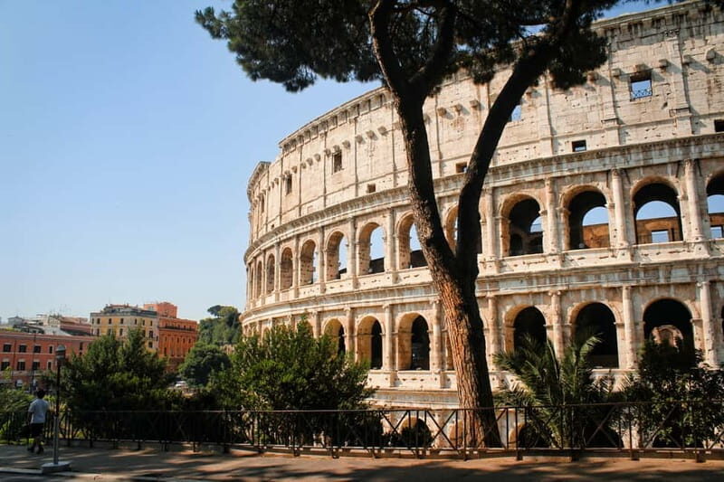 Rome: Colosseum, Palatine Hill and Roman Forum Guided Tour - An In-Depth Look at the Tour Experience