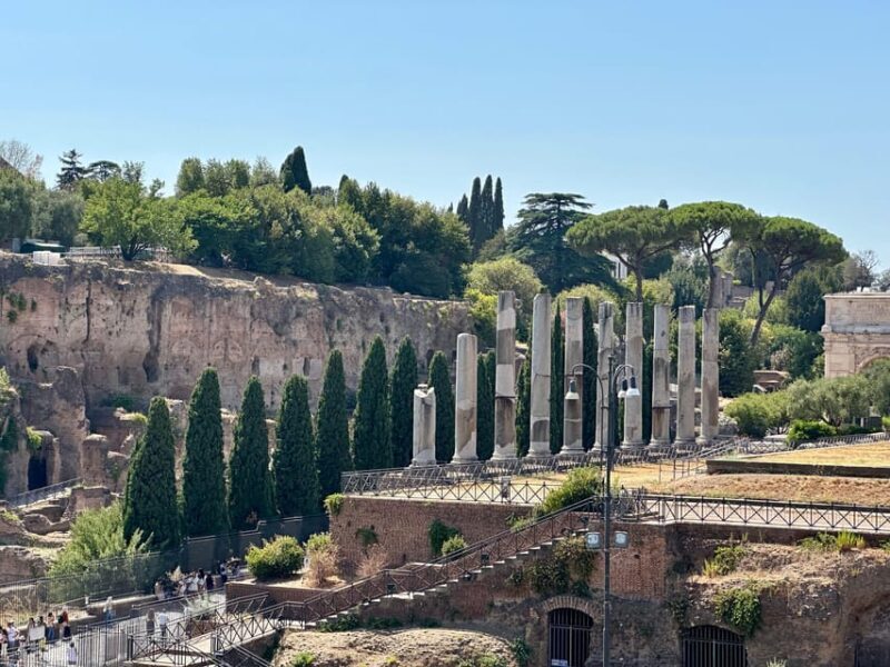 Rome: Colosseum, Roman Forum and Palatine Hill Guided Tour - Who Will Love This Tour?