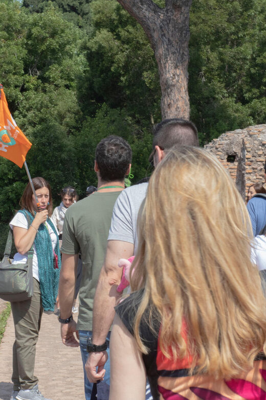 Rome: Colosseum, Roman Forum and Palatine Hill Guided Tour - Who Is This Tour Best For?