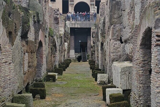 Rome : Colosseum Underground and Arena Tour (MAX 7 PEOPLE) - Key Points