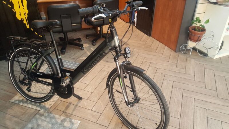 Rome: Electric Bike Rental - The Sum Up