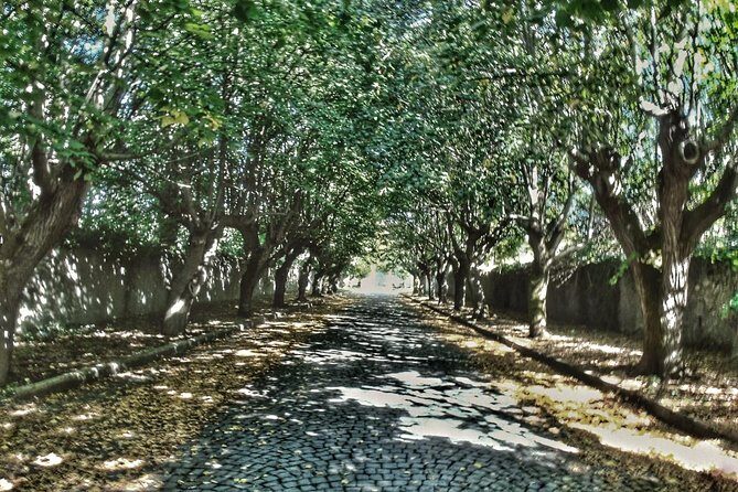 Rome: Frascati Vineyard Bike Tour with Train Tickets - In-Depth Look at the Frascati Vineyard Bike Tour