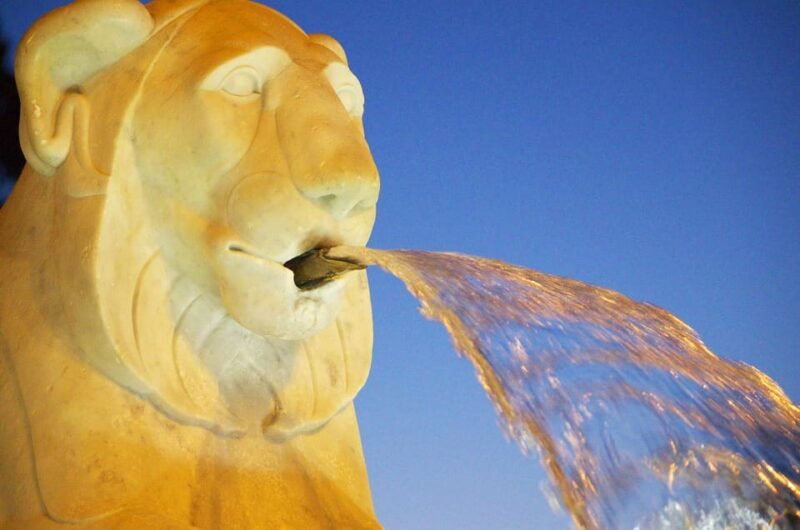 Rome: Historic Squares Guided Walking Tour - A Close Look at the Tour: What to Expect