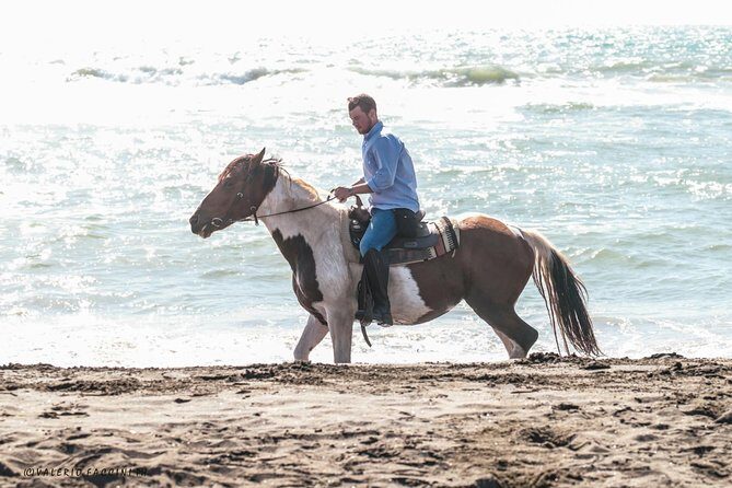 Rome: Horseback Riding on the Beach with aperitif - Detailed Breakdown of the Itinerary