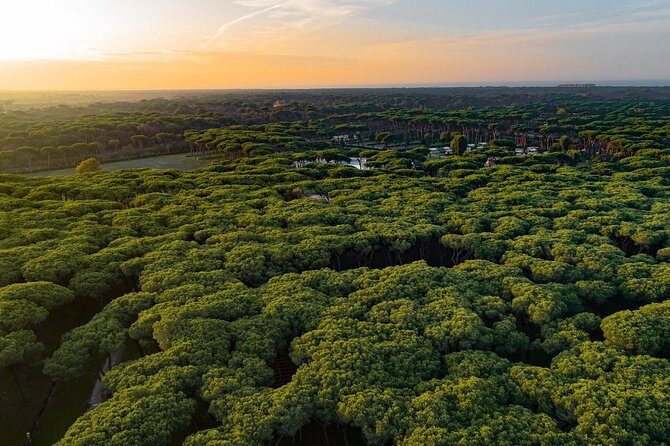 Rome : Horseback Riding with meals and wine included - Final Thoughts: Is This Tour Right for You?