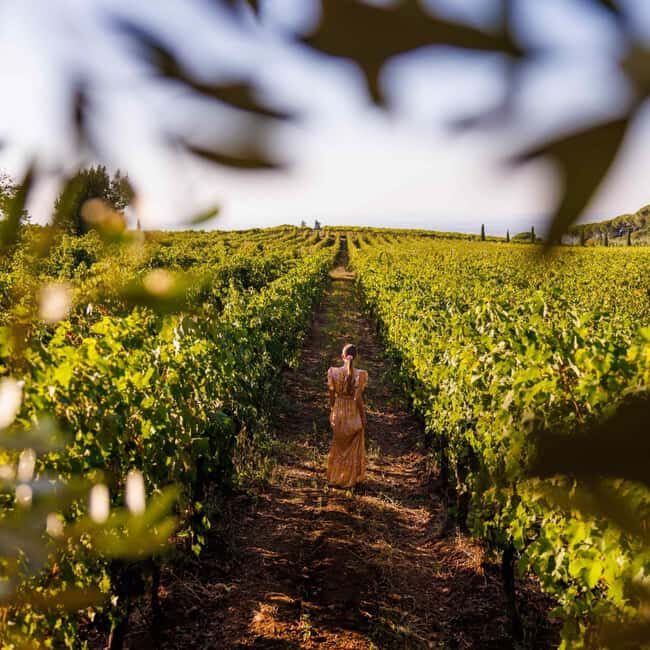 Rome: Private Castelli Romani Wine Tasting Tour - Introduction