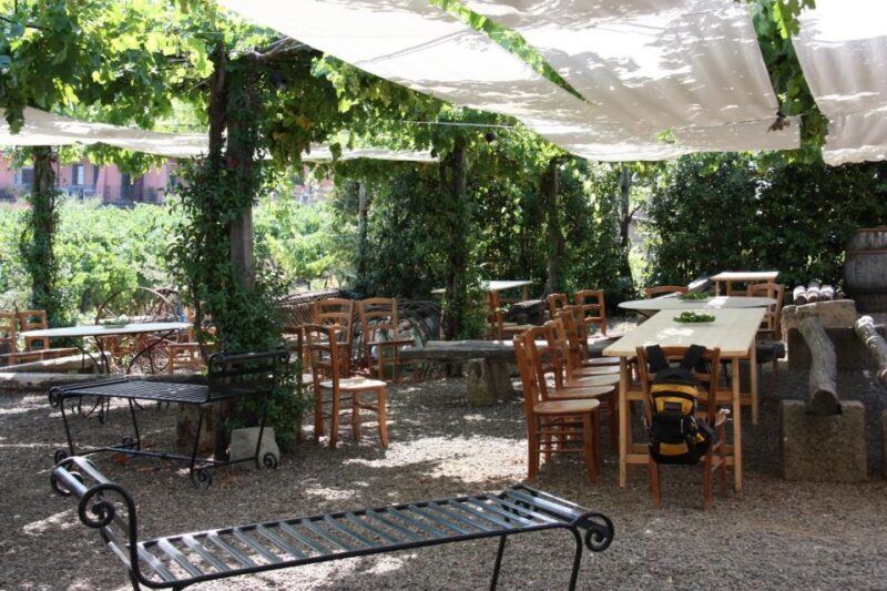 Rome: Private Castelli Romani Wine Tasting Tour - Practical Details & Tips