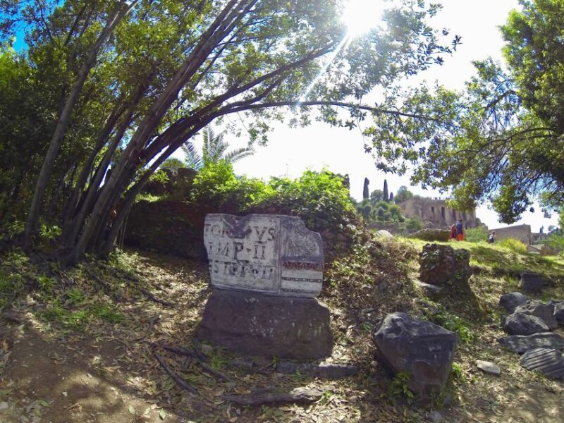 Rome: Roman Forum & Palatine Hill Tour - Why This Tour Is a Solid Choice