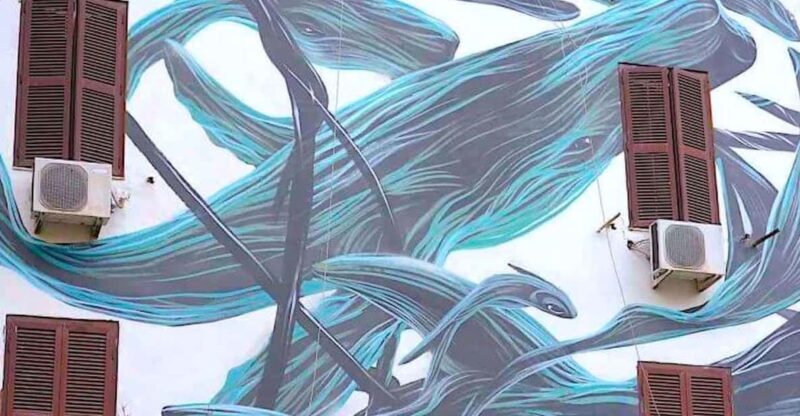 Rome street art tour: off the beaten path with a local guide - Final Thoughts