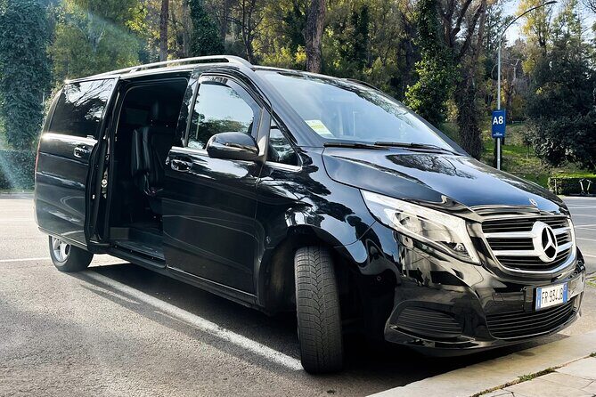 Rome to Fiumicino Airport (FCO) - Private Departure Transfer - Final Thoughts