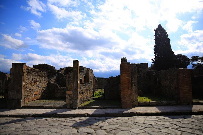 Rome to Pompeii & Herculaneum Trip with Hotel Pickup & Skip-the-line Tickets - Who Will Benefit Most From This Tour?