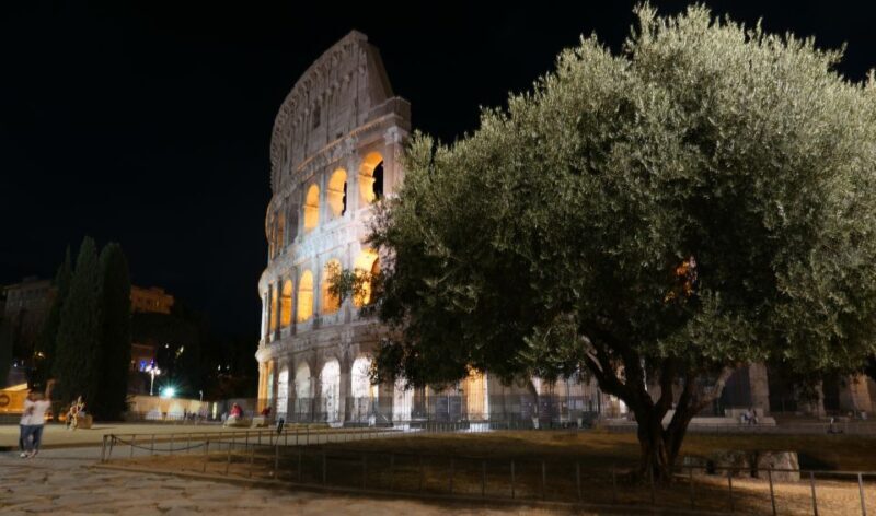 Rome: Wonders of Ancient Rome at Dusk - Why Choose the "Wonders of Ancient Rome at Dusk" Tour?
