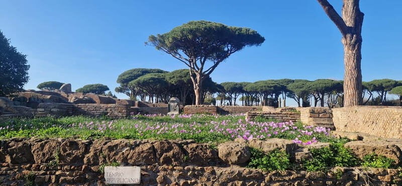 Rome:Ostia Antica Skip-the-line Ticket & Audioguide - Final Thoughts