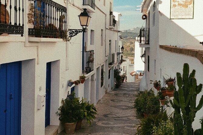 Ronda and White Villages from Seville-Small Group - Key Points