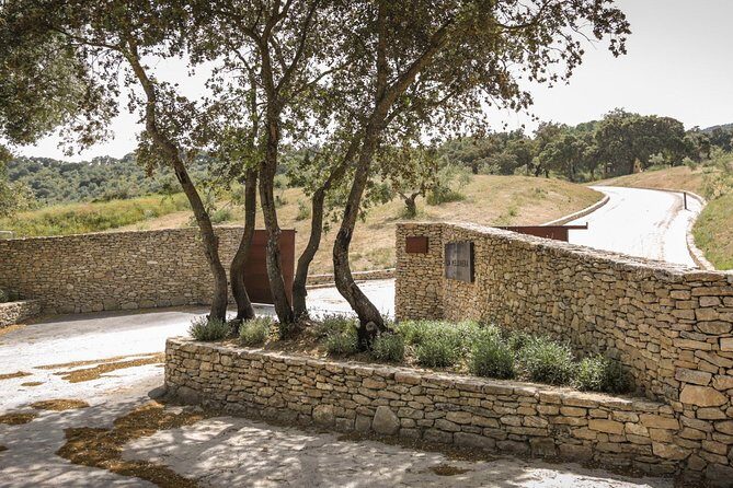 Ronda Private Full Day Wine Tour - Final Thoughts