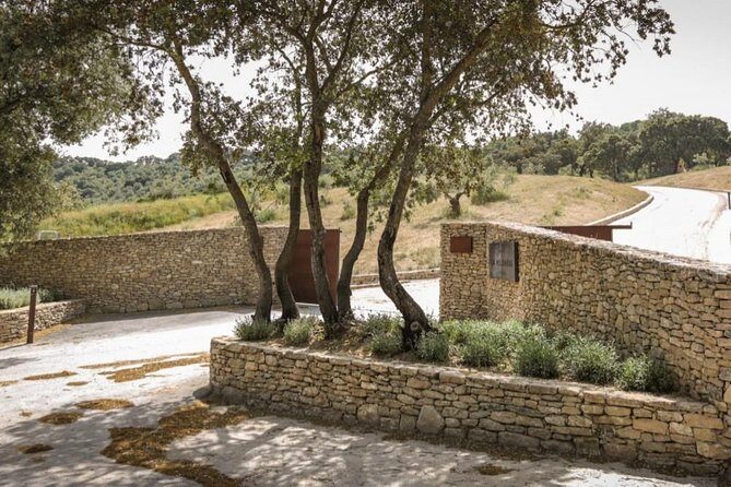 Ronda Private Wine Tour and Tapas from Marbella - Transportation, Timing, and Group Size