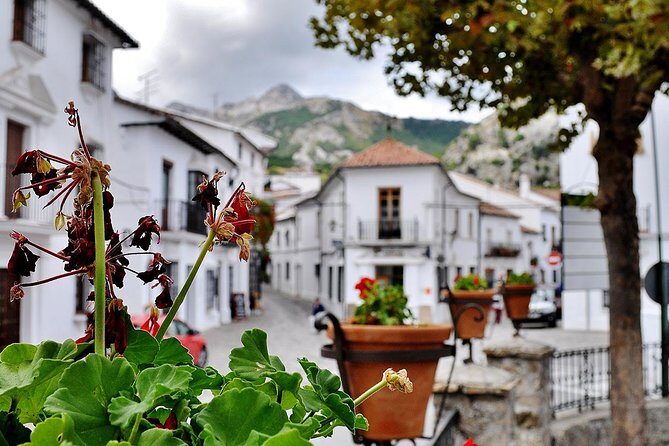 Ronda & White Villages Small Group Tour from Seville - Authentic Experiences and Local Flavors