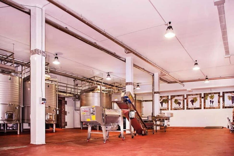 Ronda: Winery Tour with Wine Tasting and Tapas - What Makes This Ronda Winery Tour Stand Out