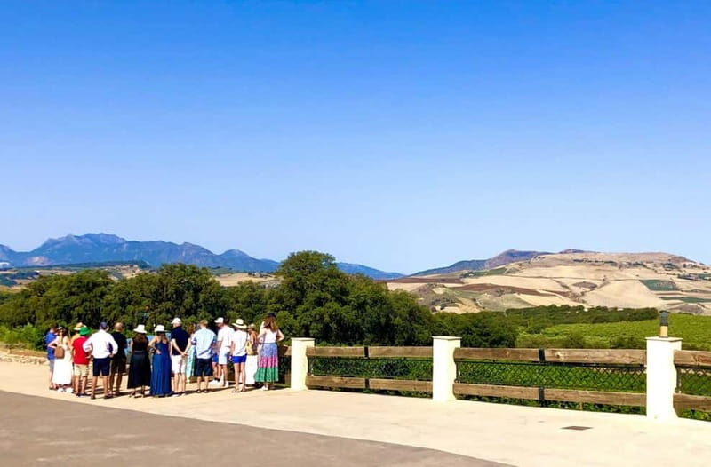 Ronda: Winery Tour with Wine Tasting and Tapas - Who Should Consider This Tour?