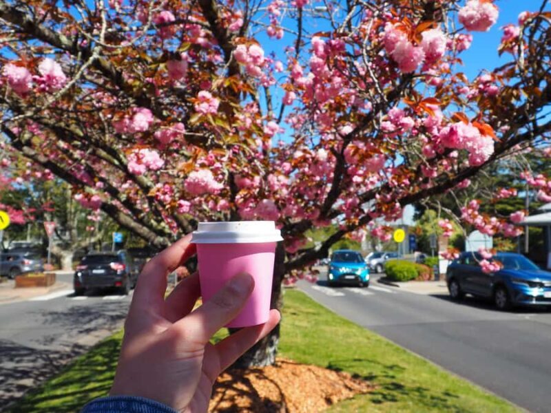 Roos, Blues & Views - Blue Mountains Day Tour w Lunch - Real Traveler Insights