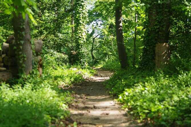 Roots the Path of the Last Table - Introduction