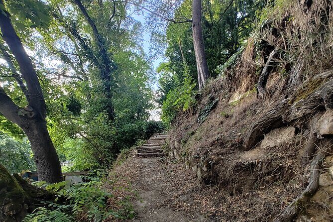 Roots the Path of the Last Table - Key Points  