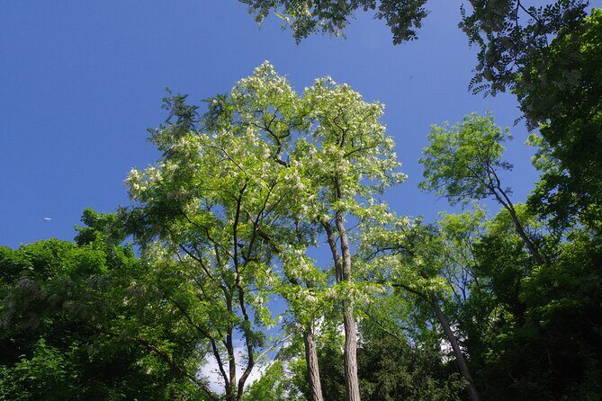 Roots the Path of the Last Table - Who Should Book This Tour?