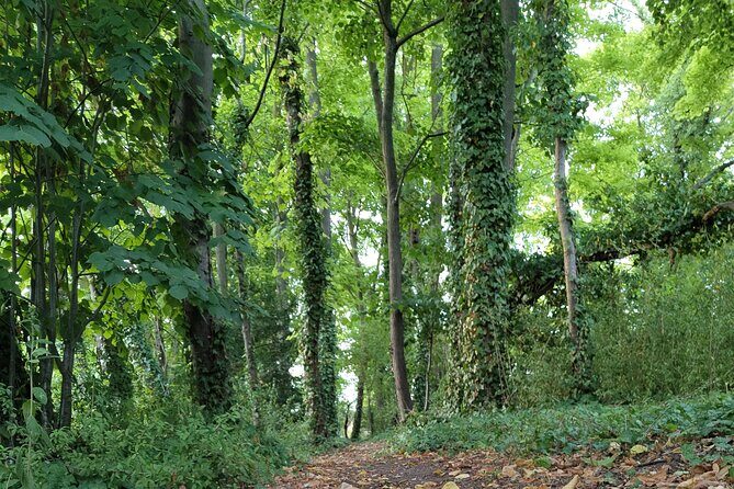 Roots the Path of the Last Table - The Sum Up