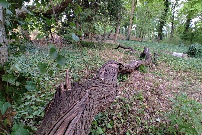 Roots the Path of the Last Table - FAQs