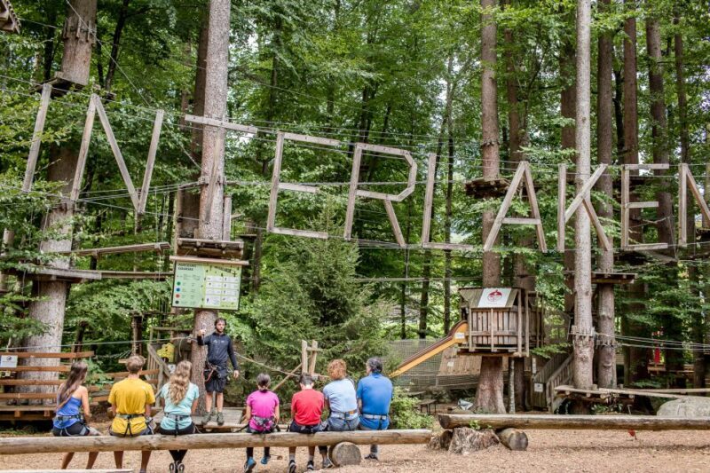 Rope Park Interlaken: Climbing Adventure with Entry Ticket - Key Points