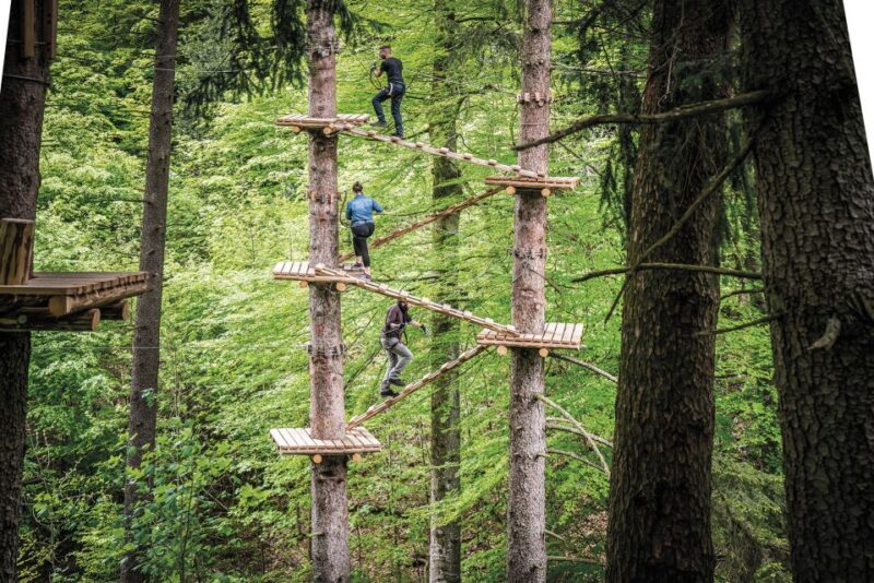 Rope Park Interlaken: Climbing Adventure with Entry Ticket - Final Thoughts