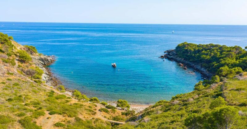 Roses: Cruise to Cala Murtra with Underwater Views - Deep Dive into the Experience