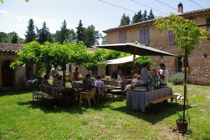 Roséwinetasting Parties or Workshops with a WineEducator at your place - Final Thoughts: Is It Worth It?